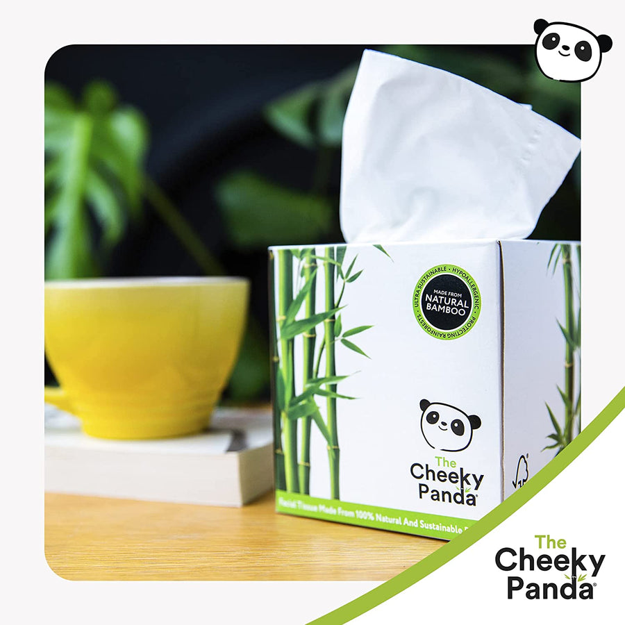 Soft, Sustainable & Biodegradable Bamboo Tissues (12 boxes) – Cheeky Panda