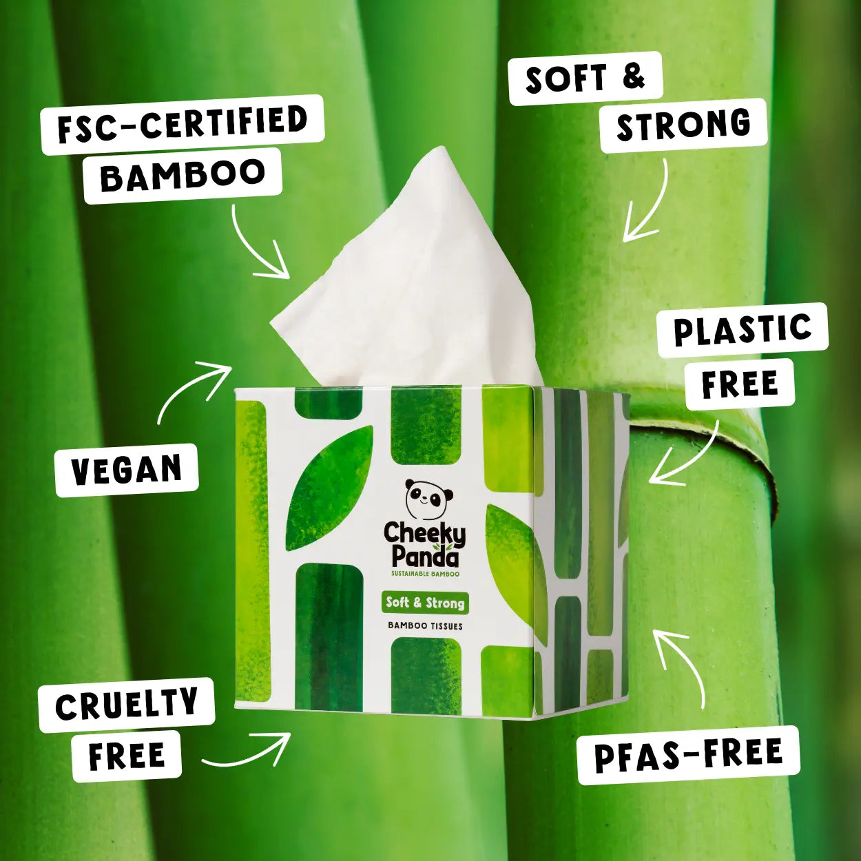 Soft, Sustainable & Biodegradable Bamboo Tissues (12 boxes) – Cheeky Panda