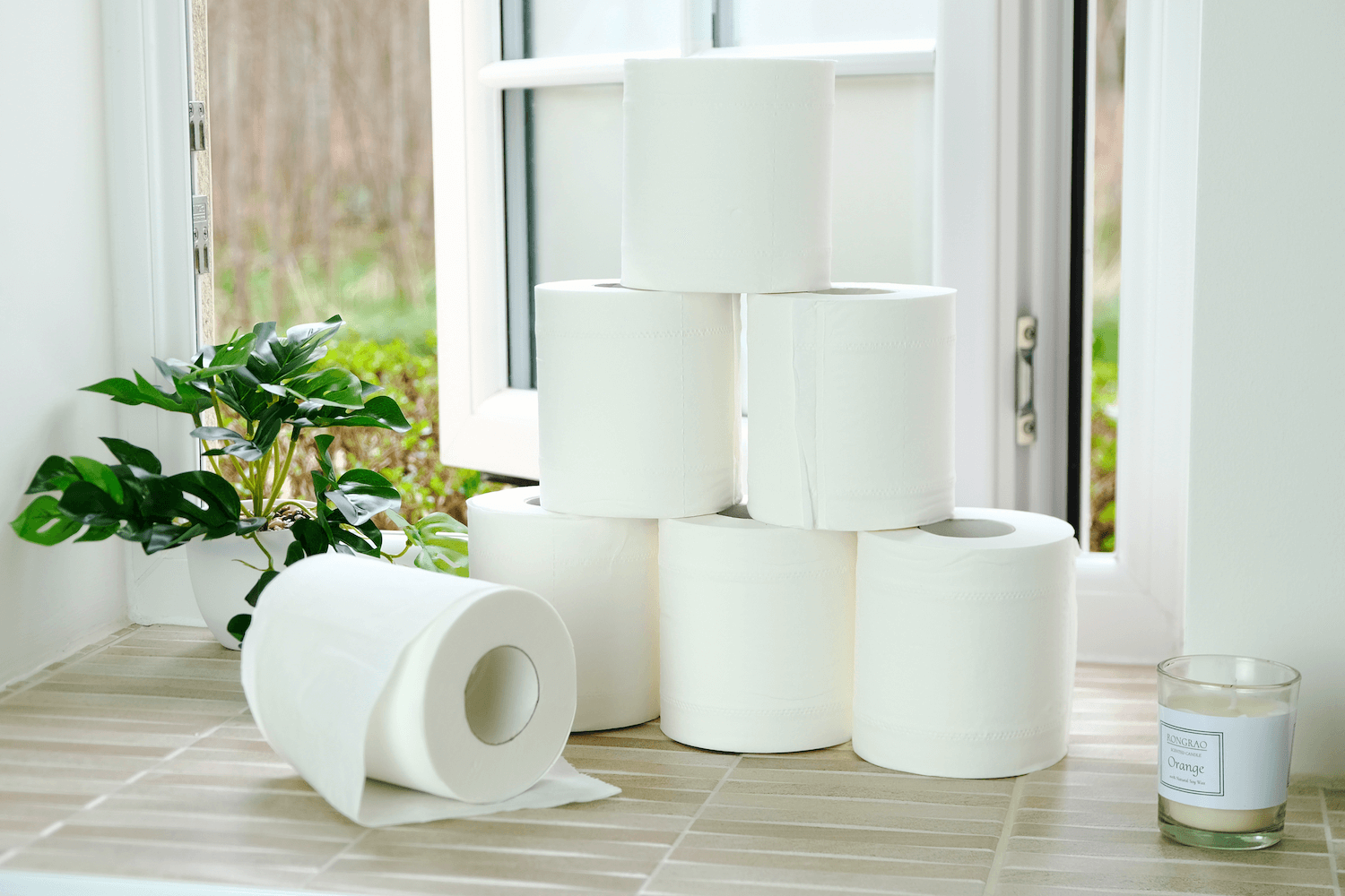 Bulk Travel Tissues: Box of 36 Packs · Cheeky Panda UK