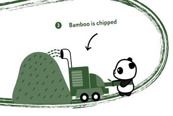 Supply Chain 2024 – Cheeky Panda